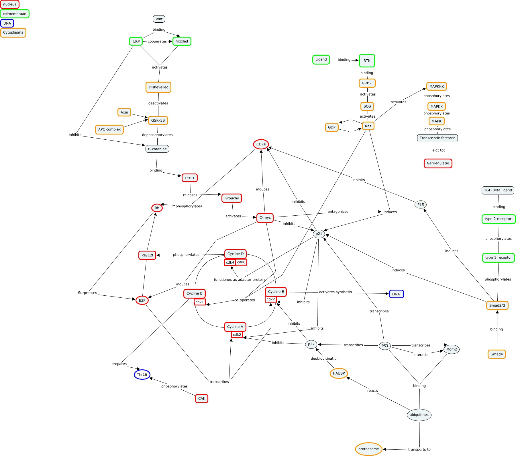 Eerste versie deelonderwerpen 1 en 2 - Celcclus